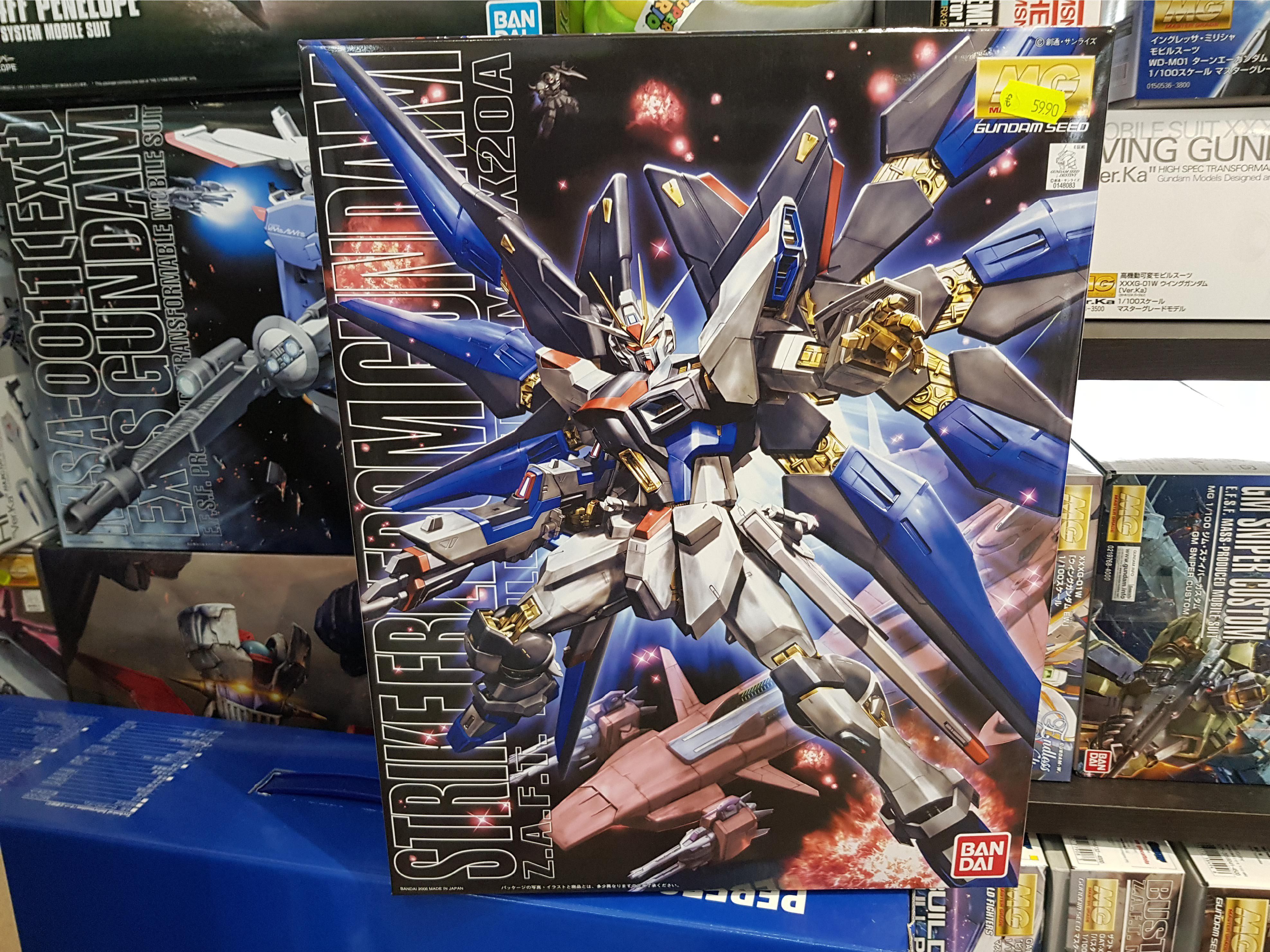 Mg Strike Freedom Gundam